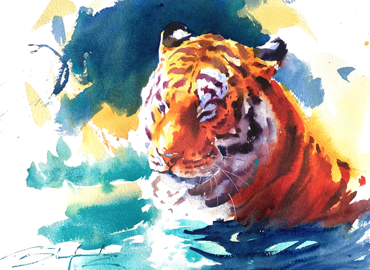 About Tom - Tom Shepherd School of Watercolour